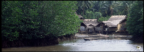 Slides Only » Blog Archiv » Macarascas